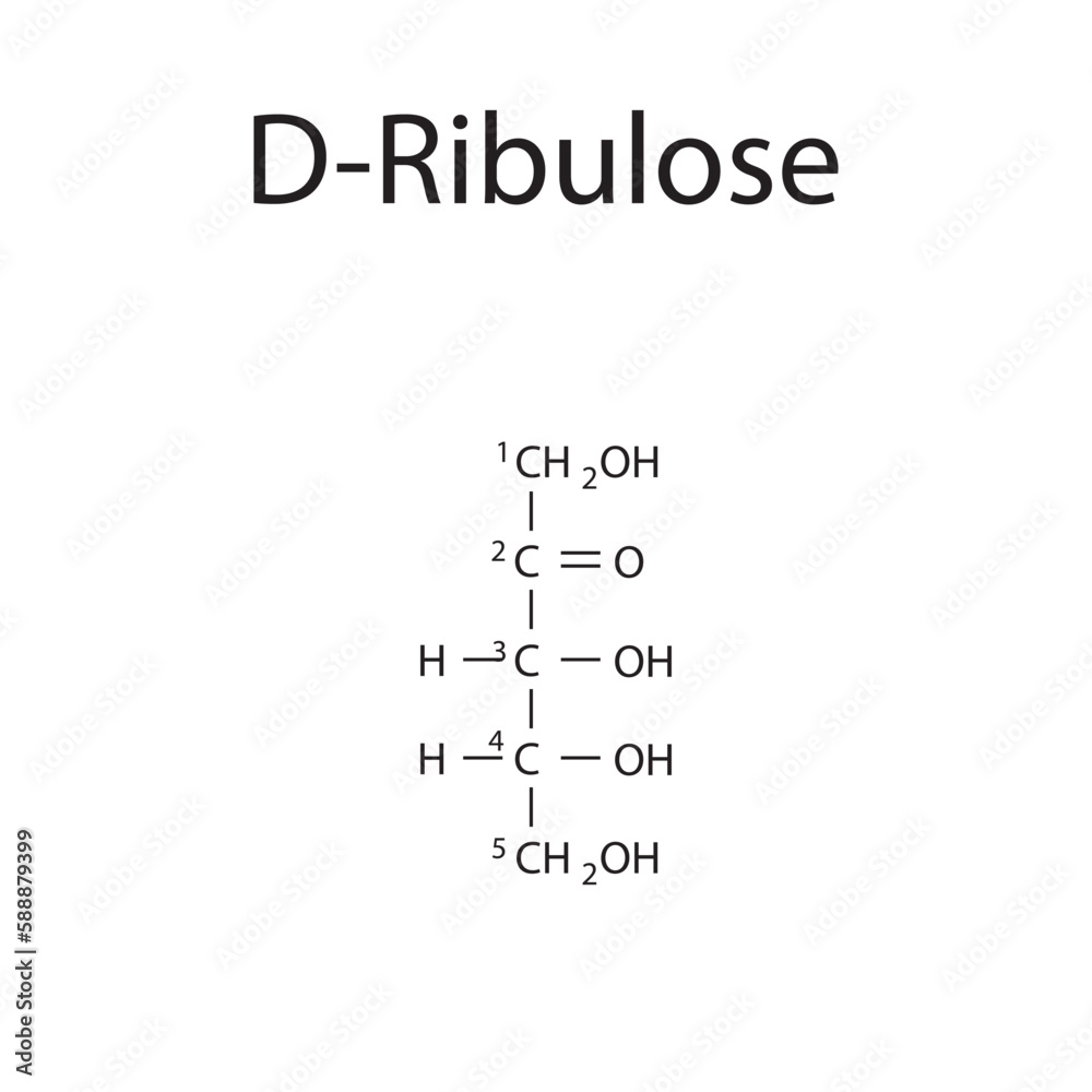 Straight chain form chemical structure of D-Ribulose sugar. Scientific ...