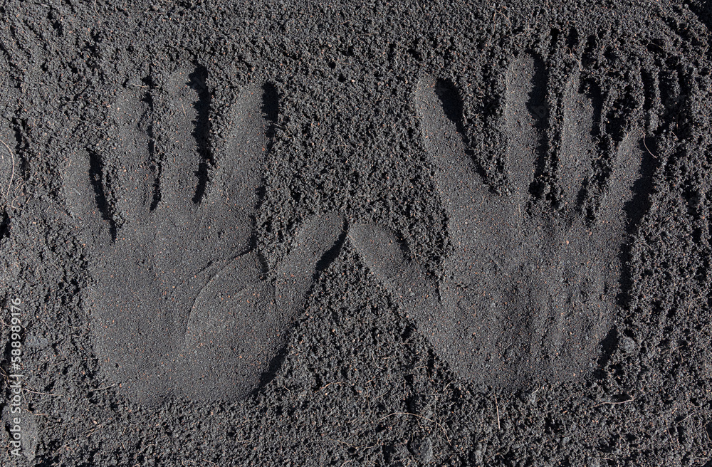 Hand print on brown soil. Fertile loam soil suitable for planting, soil ...