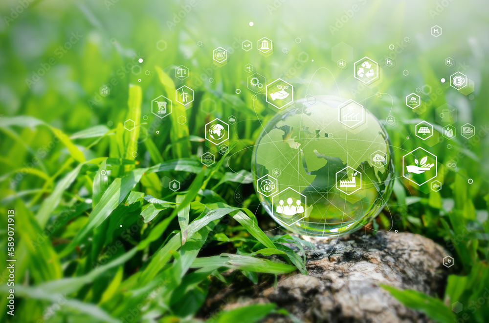 Globe on moss in forest with environment icons, environment concept ...