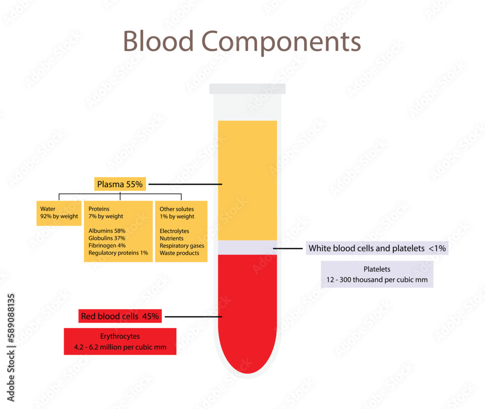 illustration of biology and medical, Blood components medical ...