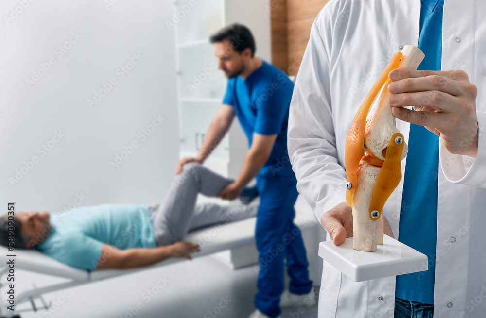 Physiotherapist holding anatomical human knee-joint model in hands ...