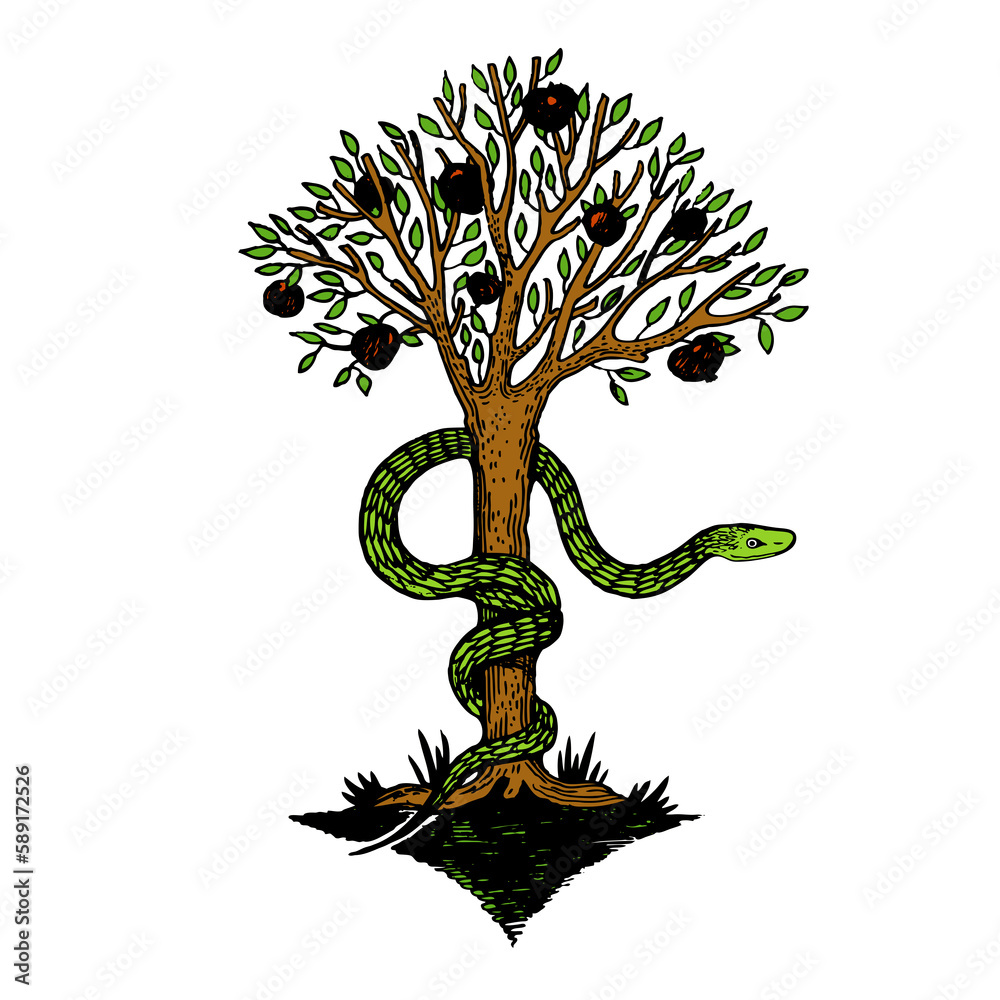 Snake and tree of life color sketch engraving PNG illustration with ...