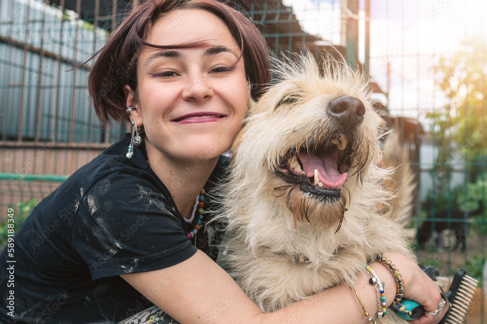 Dog at the shelter. Animal shelter volunteer feeding the dogs. Dogs in ...