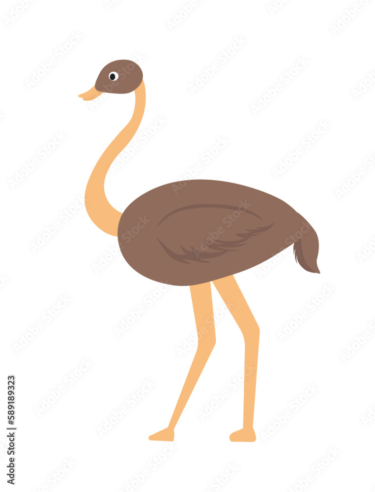 Concept Cute animals ostrich camel-bird. This is a flat vector ...