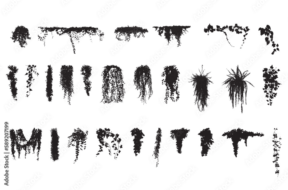 silhouette vines tropical plant drawing, Side view, set of graphics ...