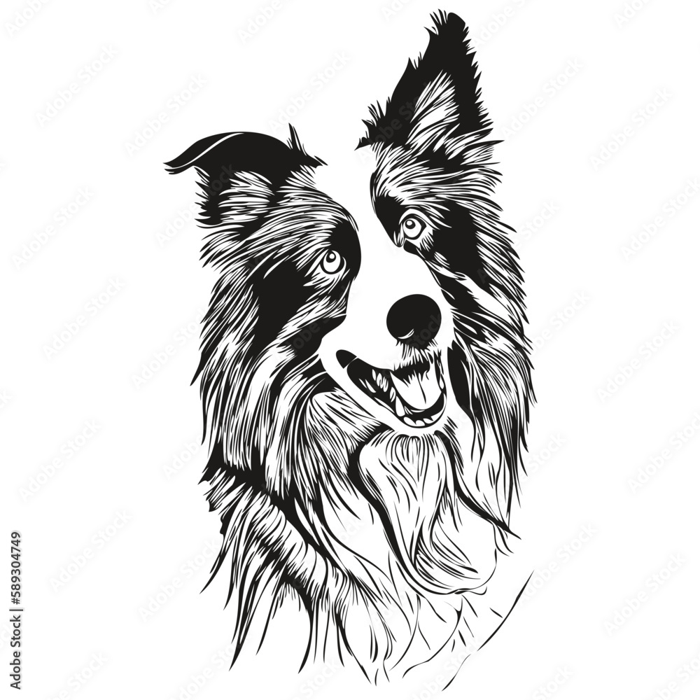 Border Collies dog hand drawn logo drawing black and white line art ...