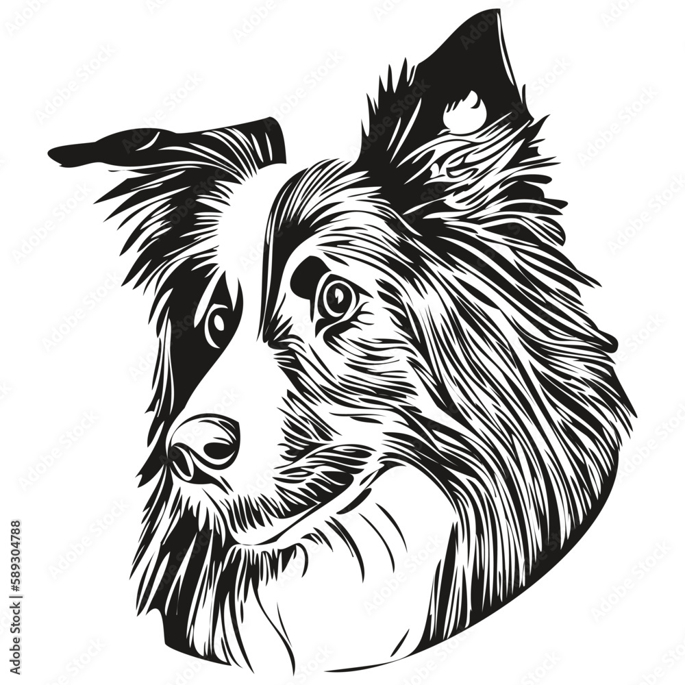 Vetor de Border Collies dog line art hand drawing vector logo black and ...