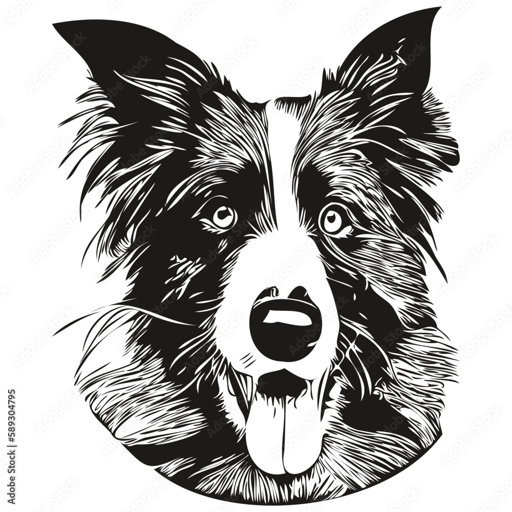 Border Collies dog line art hand drawing vector logo black and white ...