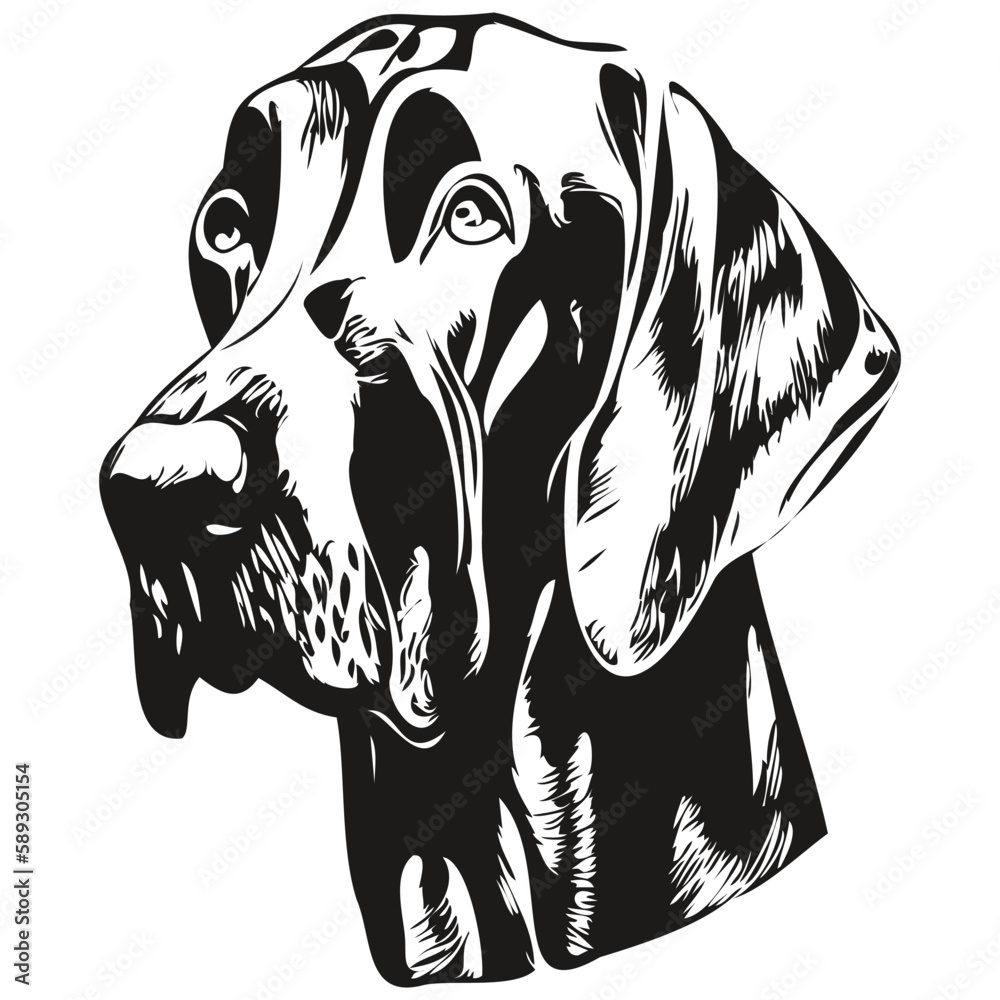 Great Dane dog hand drawn line art vector drawing black and white logo ...