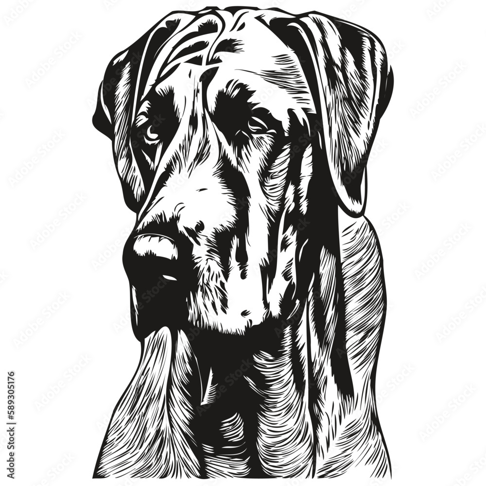 Great Dane dog line art hand drawing vector logo black and white pets ...