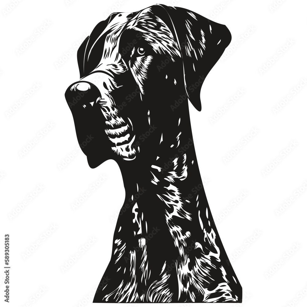 Great Dane dog logo hand drawn line art vector drawing black and white ...