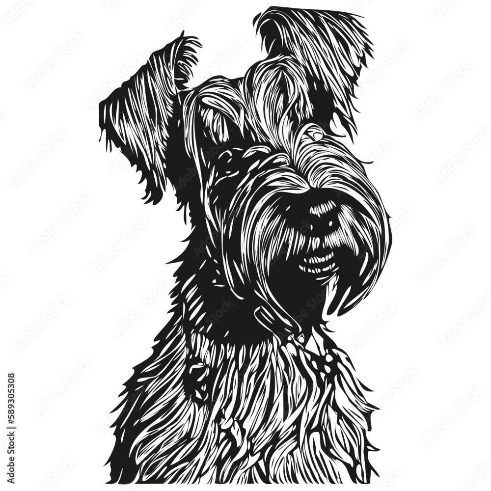 Miniature Schnauzer dog hand drawn line art vector drawing black and ...
