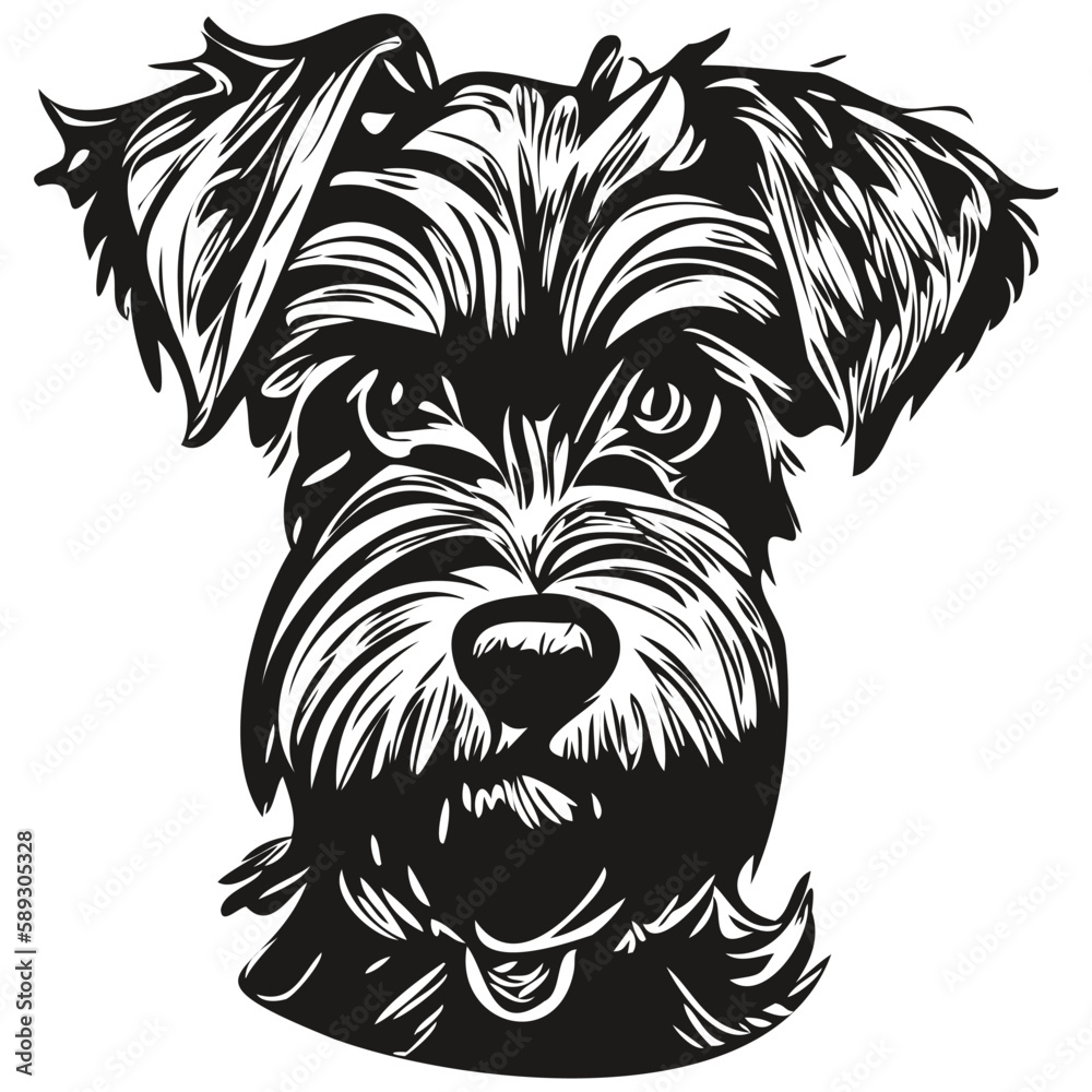 Vetor de Miniature Schnauzer dog hand drawn line art vector drawing ...