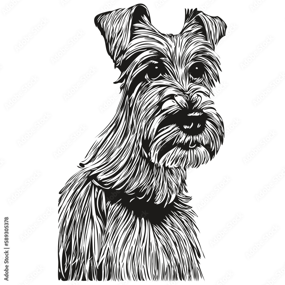 Miniature Schnauzer dog logo hand drawn line art vector drawing black ...