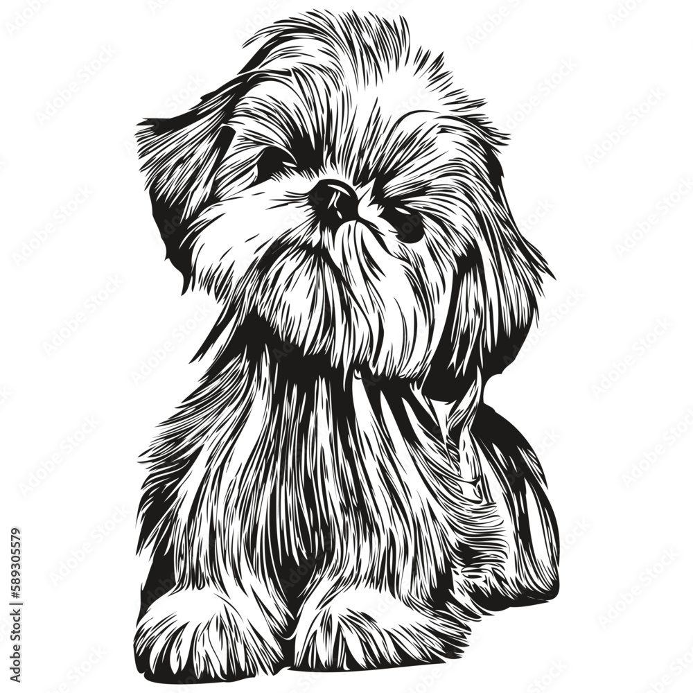 Shih Tzu dog line art hand drawing vector logo black and white pets ...