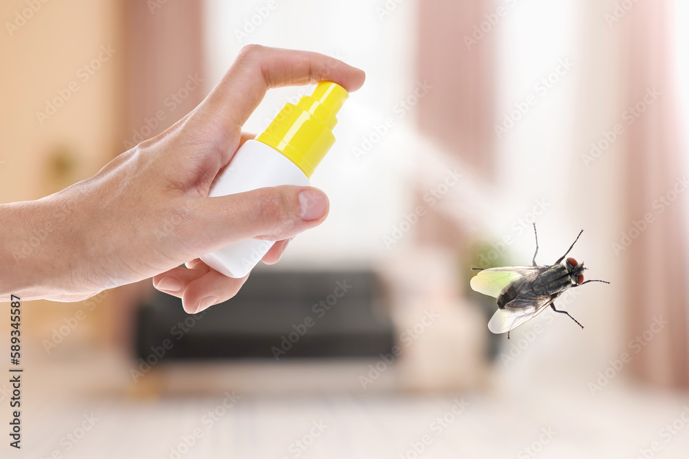 Woman using fly spray in room, closeup ภาพถ่ายสต็อก | Adobe Stock