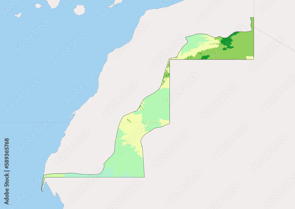 High detailed vector Western Sahara physical map, topographic map of ...