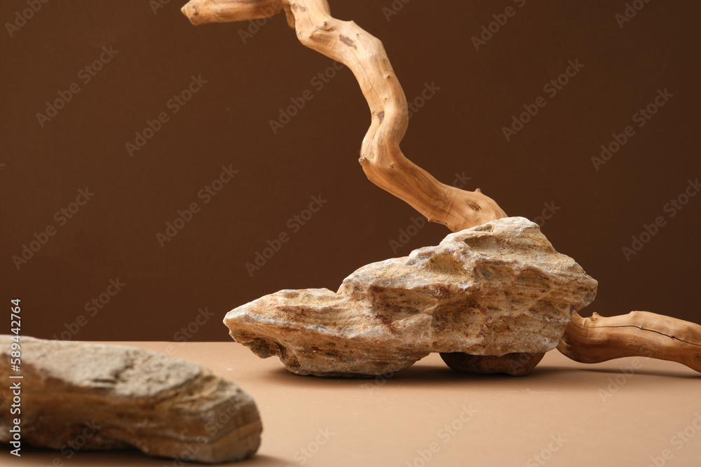 Against a brown background, big tree branch and some block of stone are ...