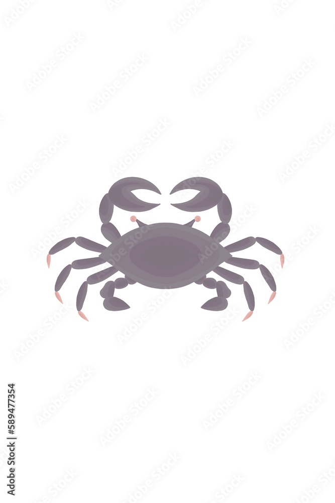 Raster template of constellations of zodiac signs for astrological ...