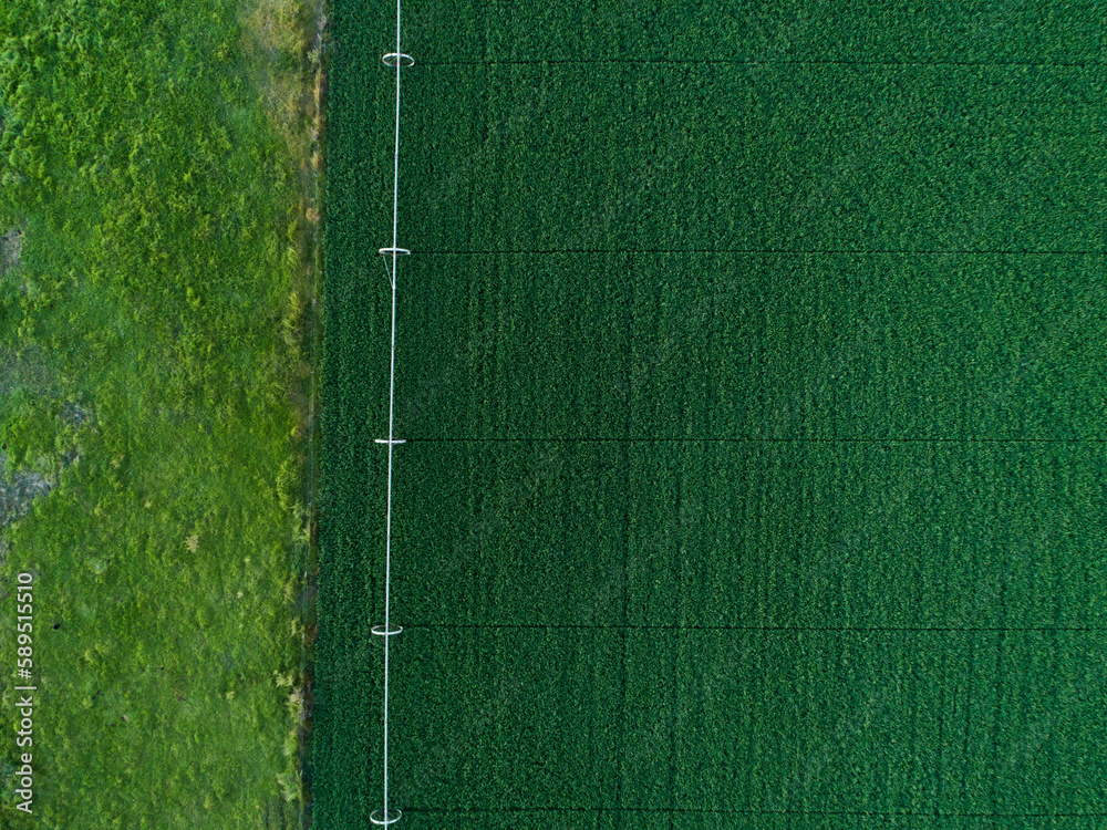 Overhead view of green paddock with farm irrigation system at edge ...