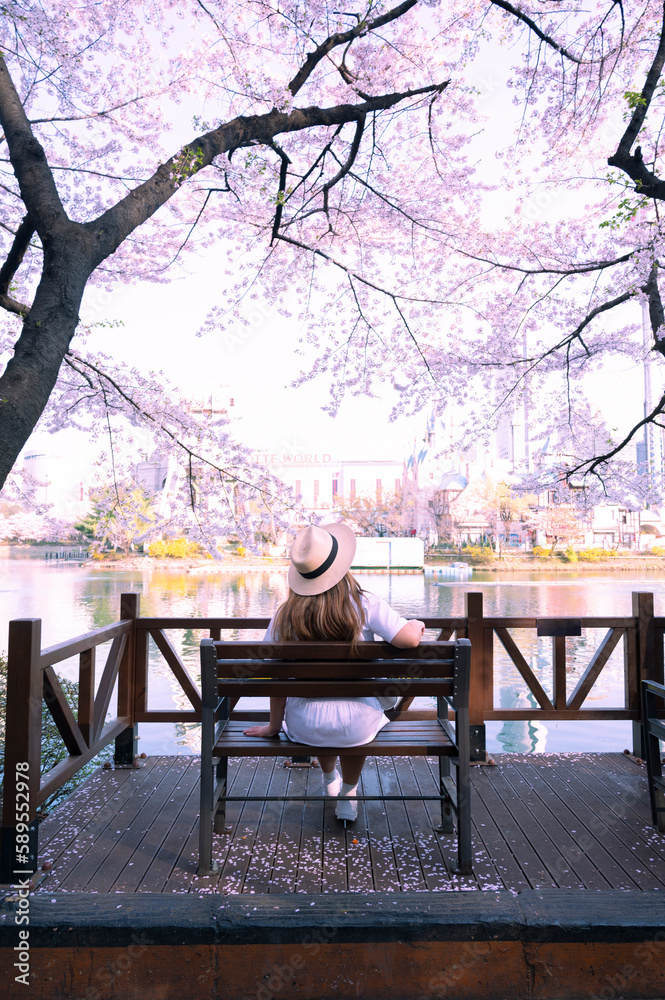 Asian lady travel in cherry blossom park in Seoul city, South Korea ...