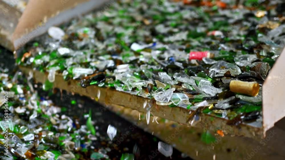 Process of sorting glass garbage on a vibrating conveyor belt at waste ...