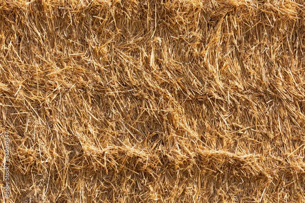 Background and texture of dry straw from a straw bale, a by-product of ...