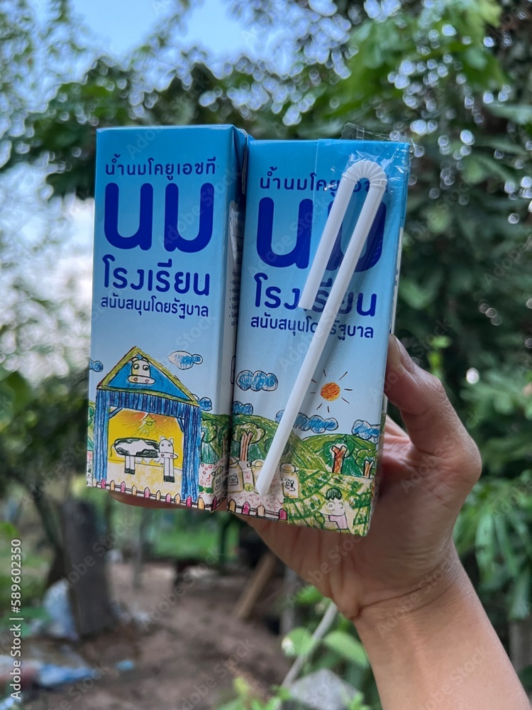 School milk , pasteurized milk for elementary Thai students that was ...