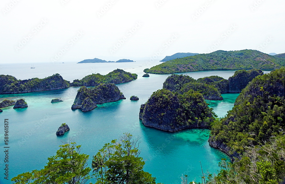 Landscape of Pianemo, Raja Ampat Archipelago, Western Indonesia foto de ...