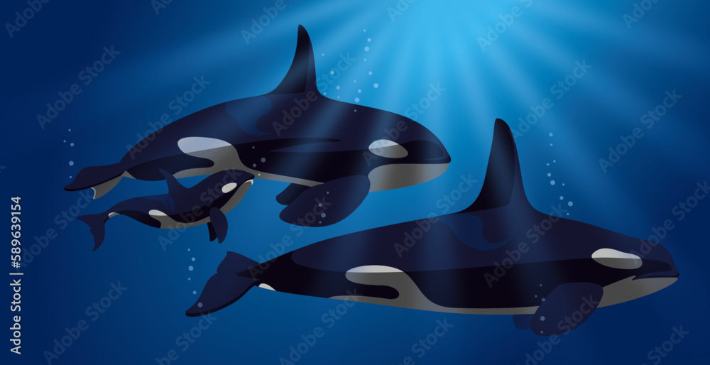 Vector illustration of a family orca, under the sea. Isolated items ...