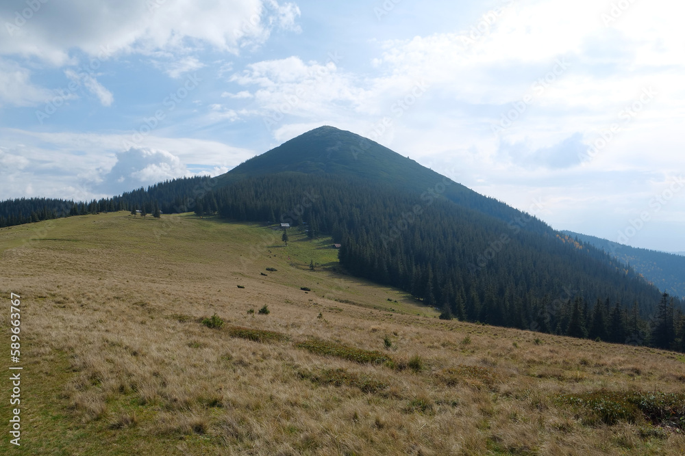 Gorgany - mountain range in Western Ukraine. View to Hamster mount ...