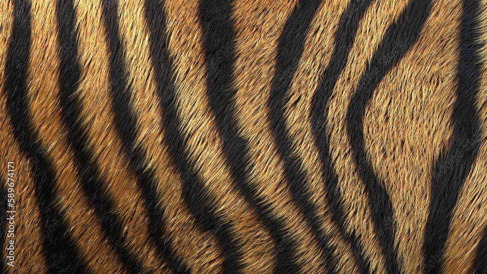 Tiger Fur pattern background, royal background, Stock Photo | Adobe Stock