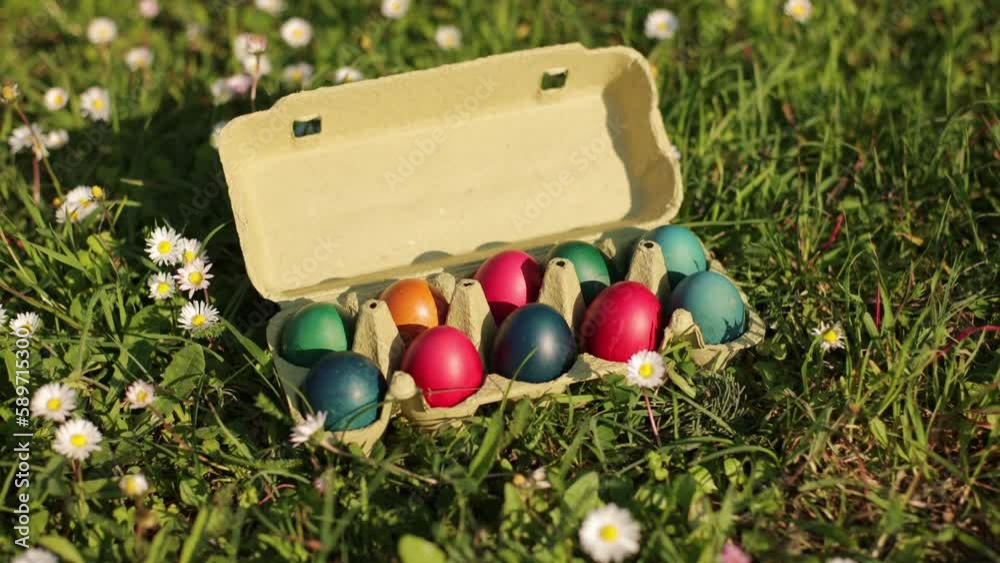 Close up moving camera to Colorful Easter eggs in the egg box. Happy ...