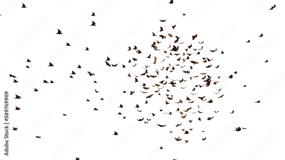 Poster large group of flying foxes, mega bats isolated on transparent ...