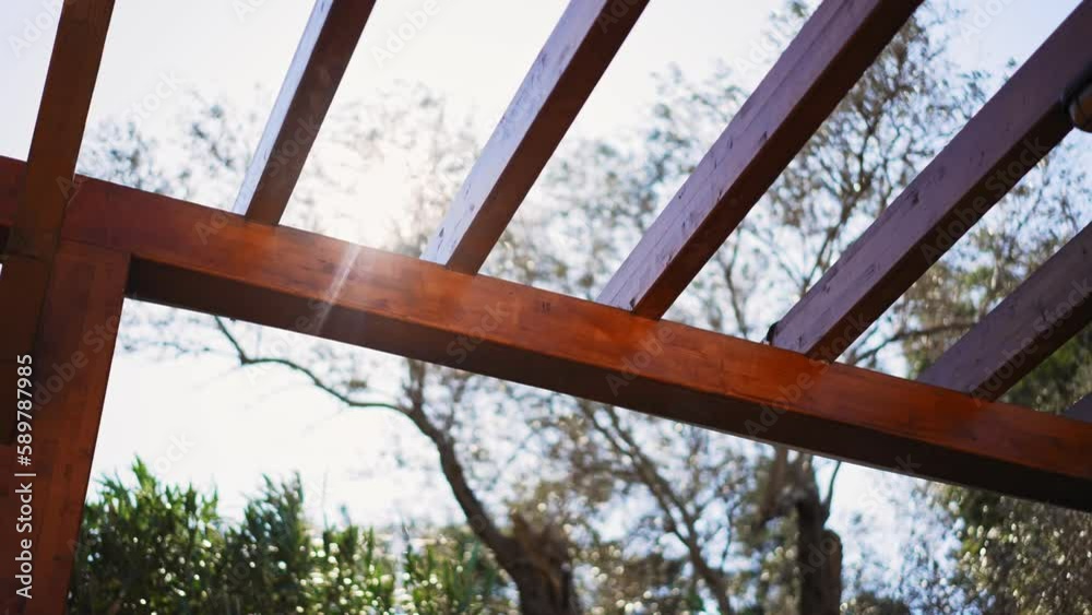 Abstract cinematic footage. The bright sun shines through the foliage ...