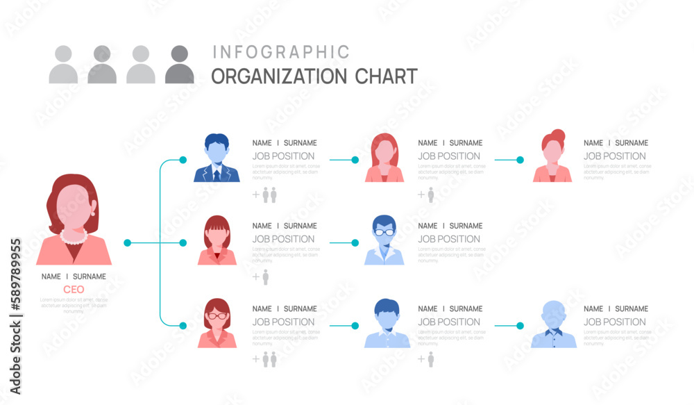 Infographic template for organization chart with business avatar icons ...