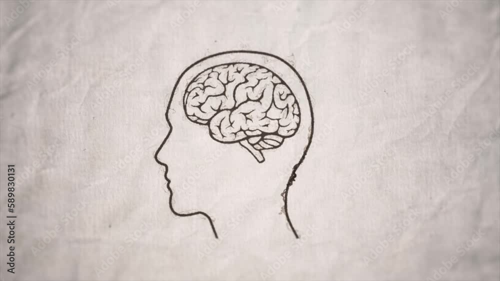 Vintage Ink Drawing Of Human Brain/ 4k animation of a motion graphics ...