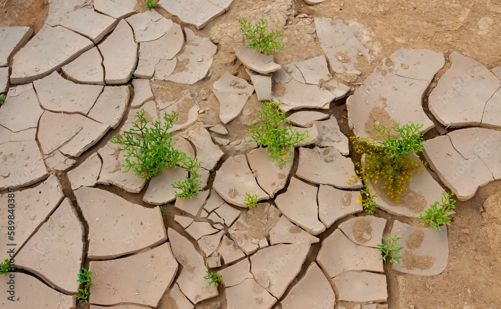 Dry cracked red clay in the desert in the bed of a dried up water ...