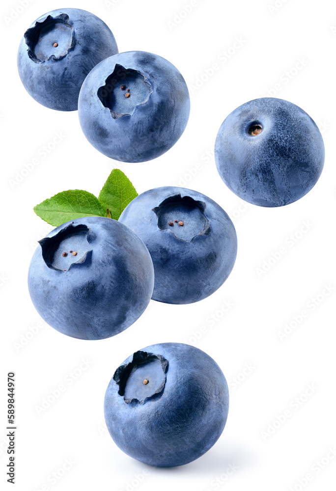 Blueberry isolated. Blueberries with leaf flying on white background ...