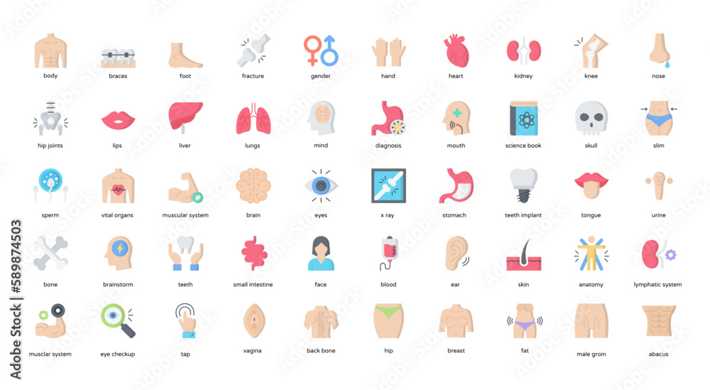 Anatomy Flat Icons Human Body Organ Icon Set in Color Style 50 Vector ...
