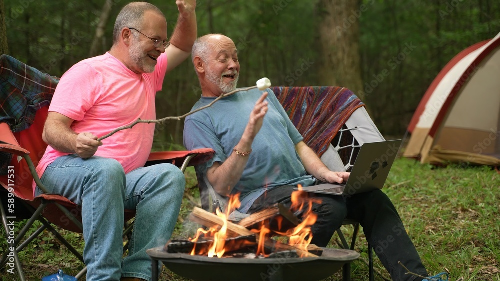 Two gay men with pride flag and tent in tent talking to laptop on video ...