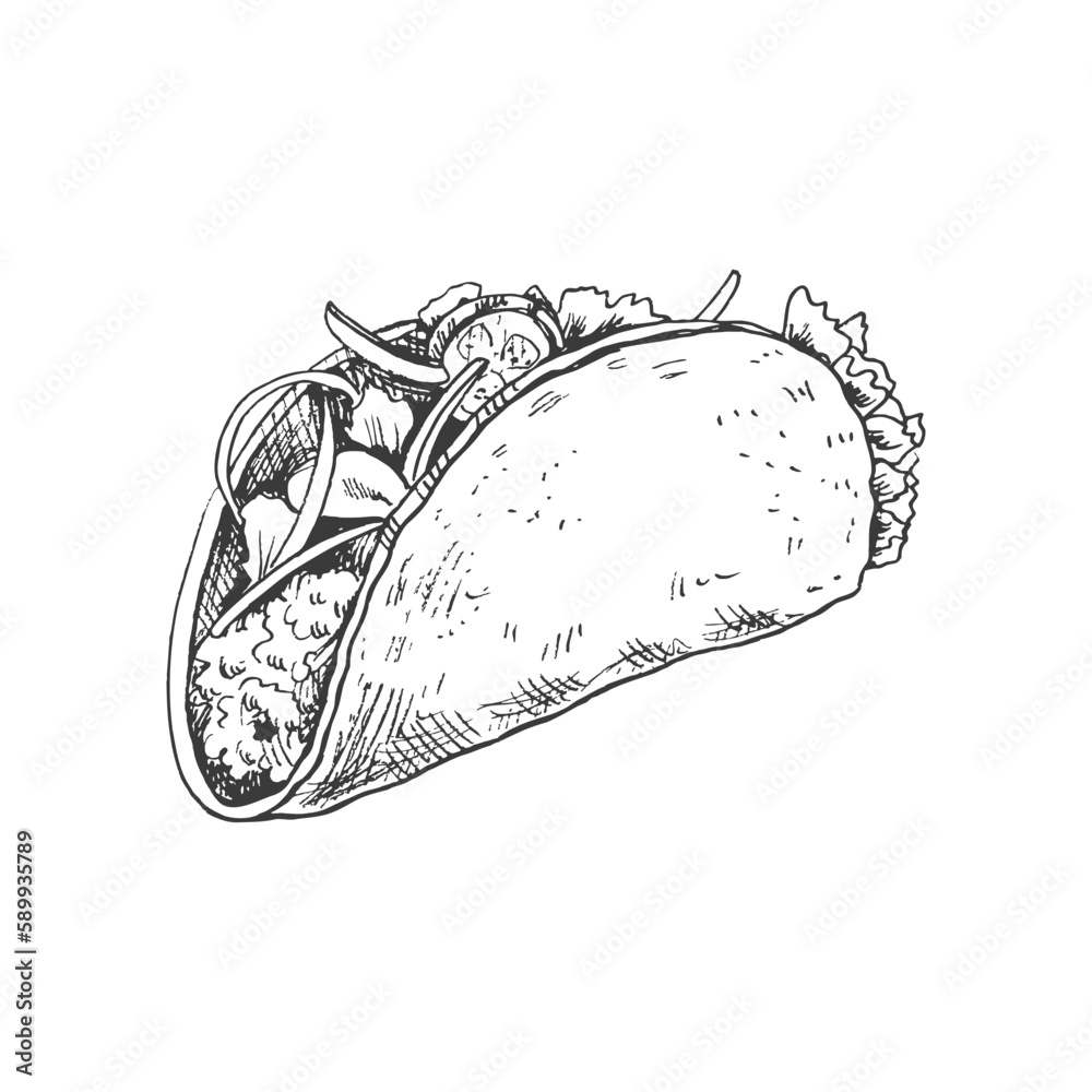 Hand-drawn sketch of taco on white background. Fast food vintage ...