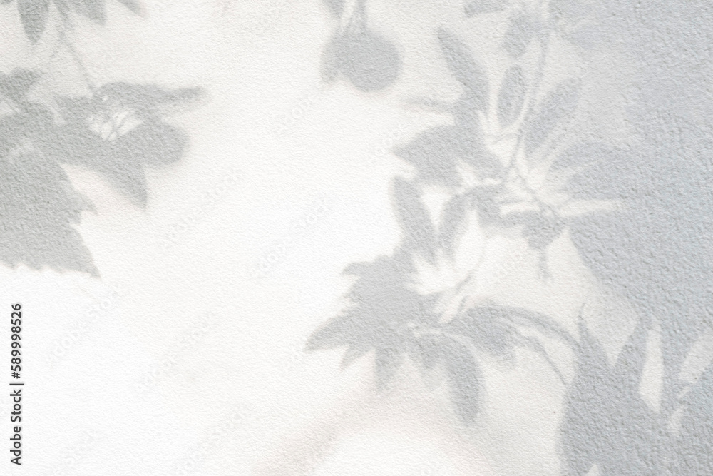 Shadow and sunshine of leaf reflection. Jungle leaves tree gray ...