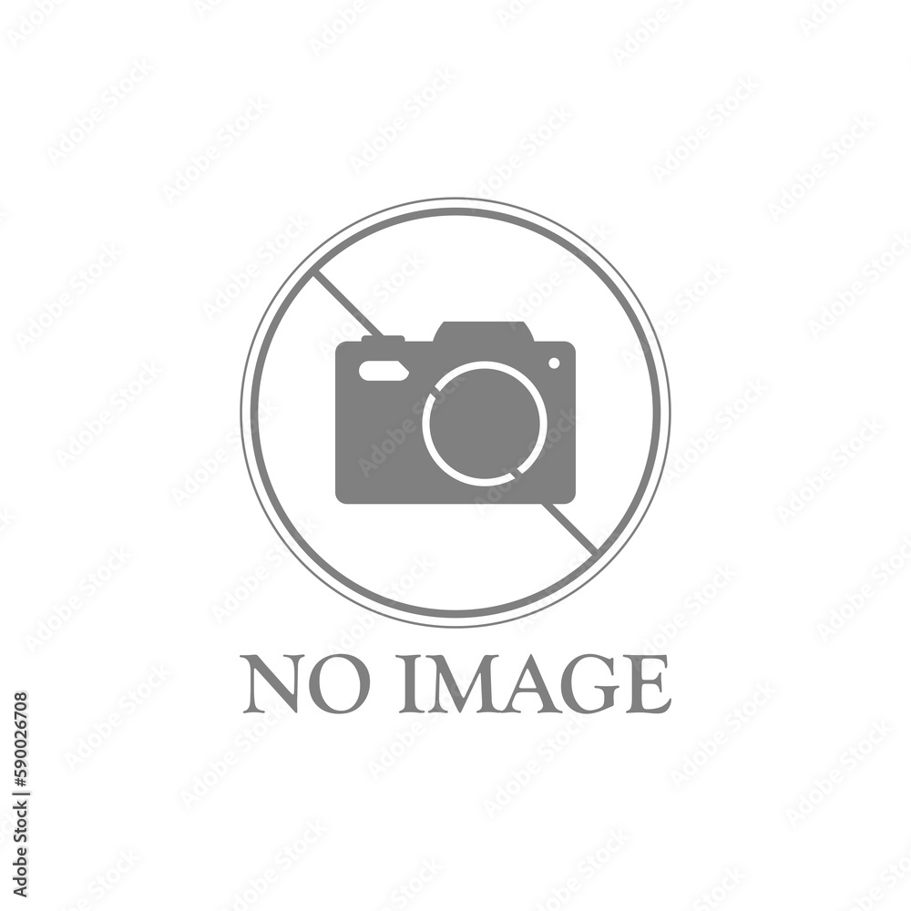 No image symbol, missing available icon isolated on transparent ...