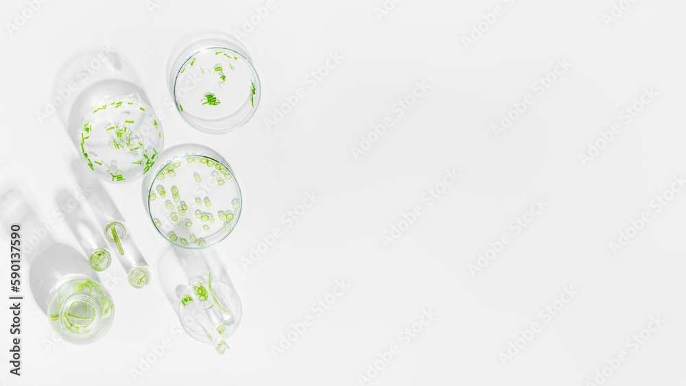 organic cosmetics, natural cosmetics, biofuels, algae. Natural green ...