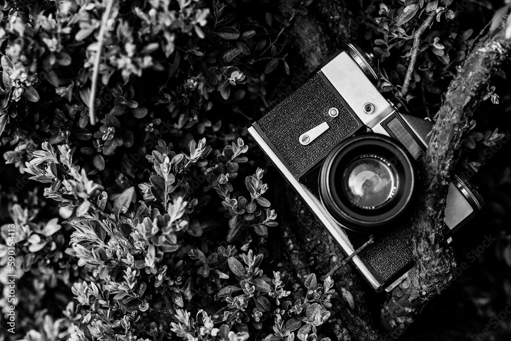 camera, lens, old, retro, photography, antique, vintage, film, isolated ...