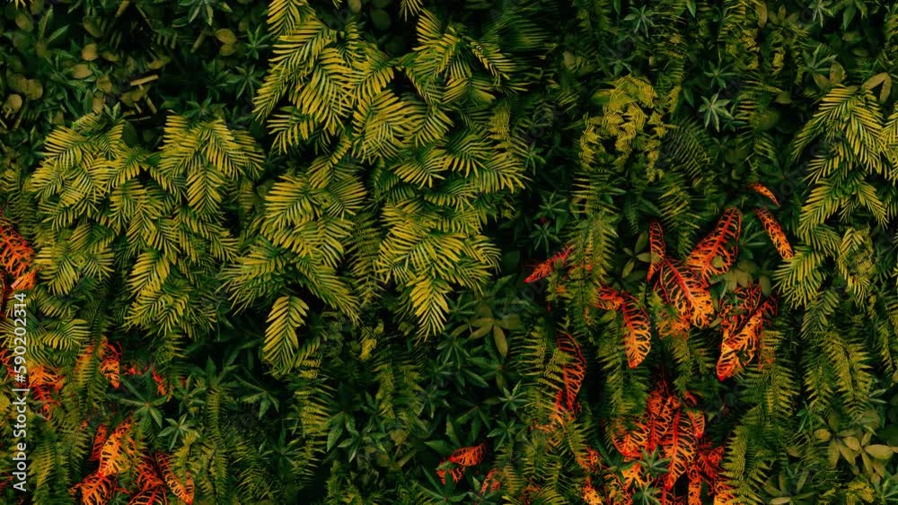 tropical leaves in the wind. 3d animation of leaves. 3d leaves ...