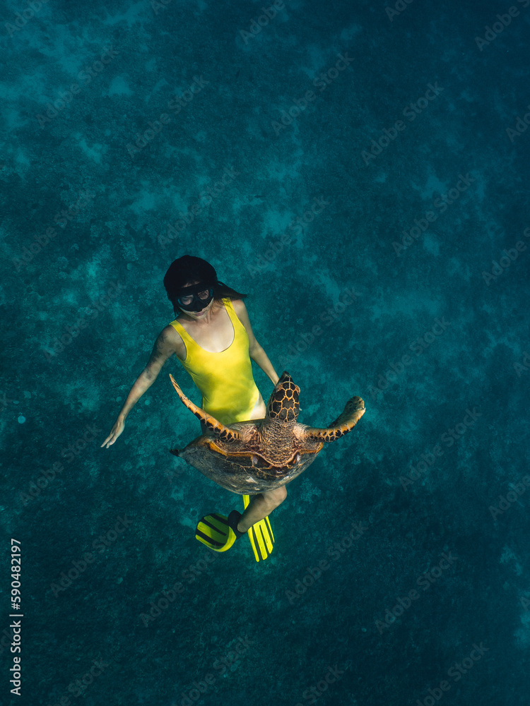snorkeling Freediver woman and turtle in natural habitat. underwater ...