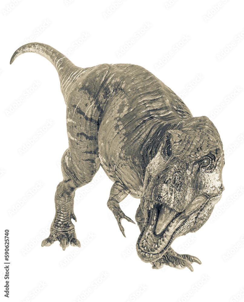 t-rex on blood is looking for food to eat in white background Stock ...