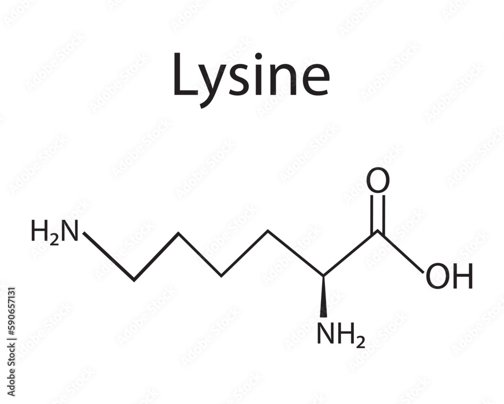 Lysine amino acid formula and structure. Chemical molecular formula ...